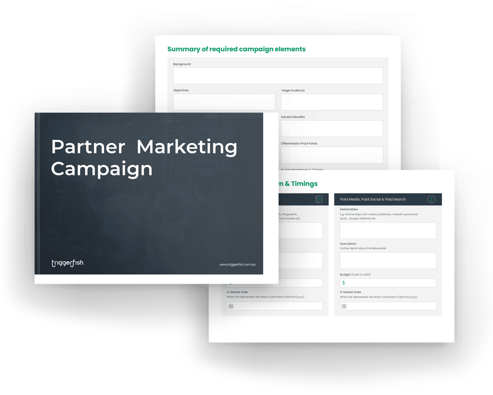 Download | Partner Marketing Campaign Proposal